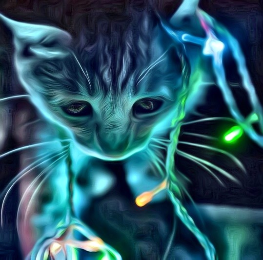 Moonlighting Light Me Up Kitty moonlighting-light-me-up-kitty