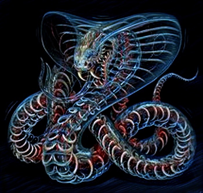 Moonlighting - Transparent Cobra! (Australian Aboriginal Art)
