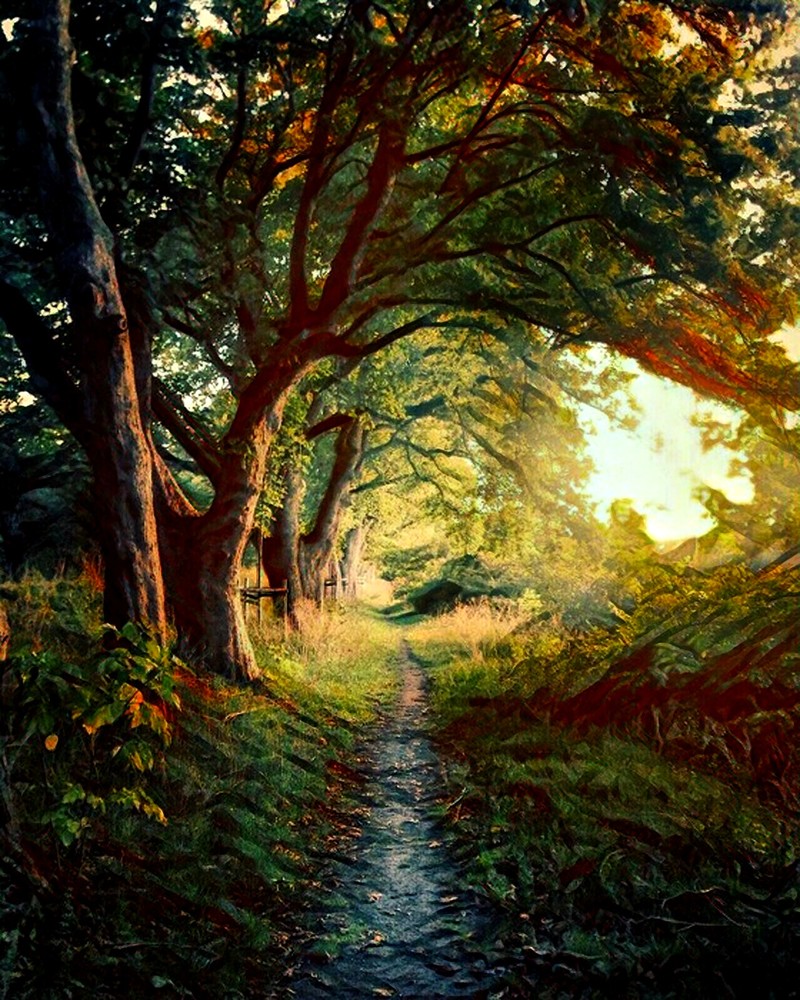 Moonlighting - The path less traveled