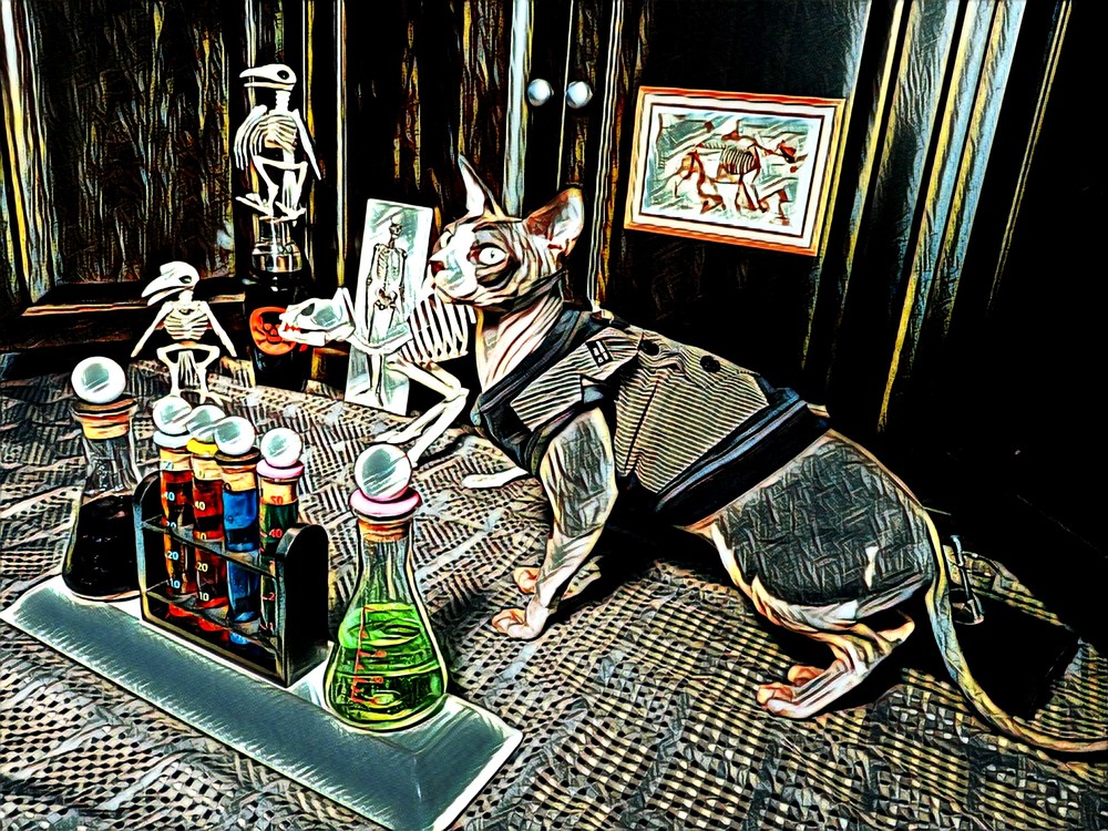 Moonlighting - Presenting Dr. Maximillian von Strange, resident mad ...