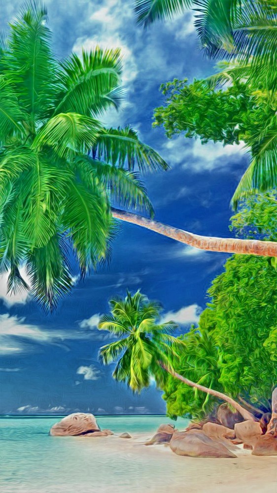 Moonlighting - Palm trees