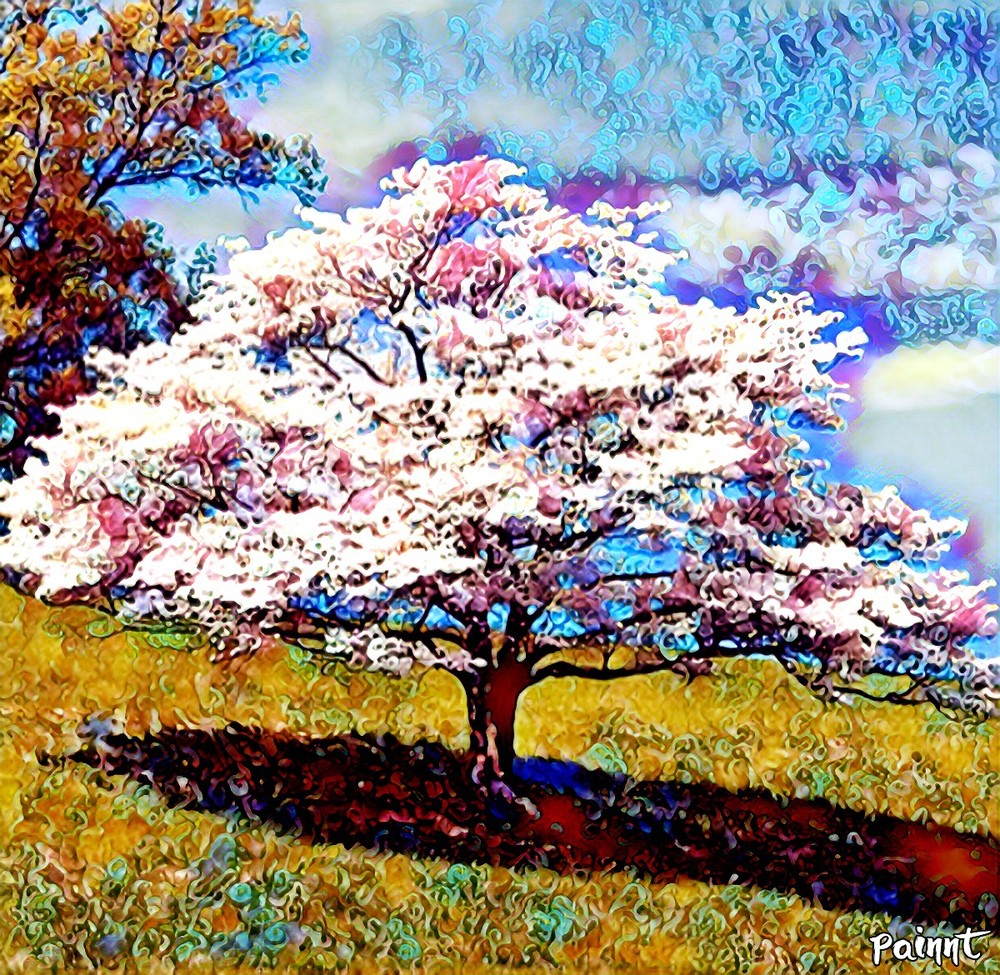 Moonlighting - ⚪ An incredible white tree ⚪